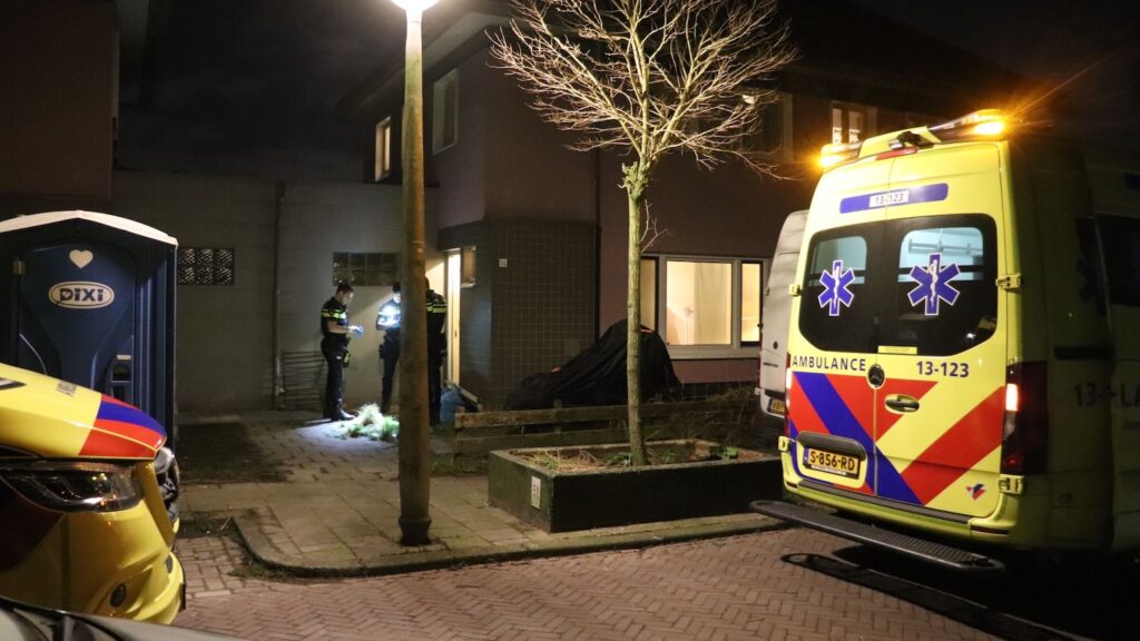 Amsterdammer steekt eigen hond dood na gewelddadige aanval – Mama's & Oma's